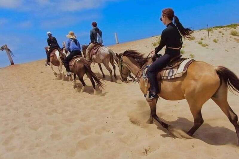 Ensenada: La Bufadora & Beach Horseback Riding Adventure - The Bottom Line: Is It Worth It?