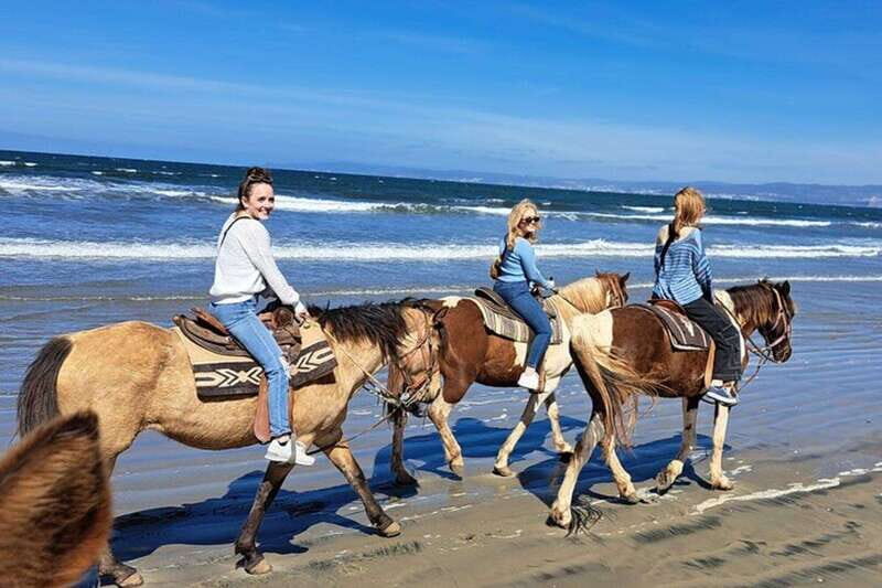 Ensenada: La Bufadora & Beach Horseback Riding Adventure - Final Thoughts: Who Will Love This Tour?