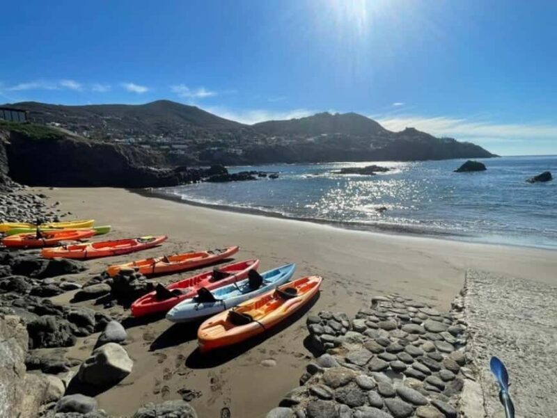 Ensenada: Private Kayak Tour to La Bufadora W/Transfer - Ensenada: Private Kayak Tour to La Bufadora W/Transfer — An In-Depth Review