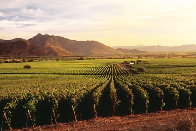 Ensenada Shore Excursion: Entre Santos and El Cielo Winery Tours with Lunch - Key Points