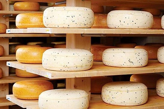 Ensenada Shore Excursion: Wine and Cheese Tour with Lunch in Ojos Negros Valley - Key Points