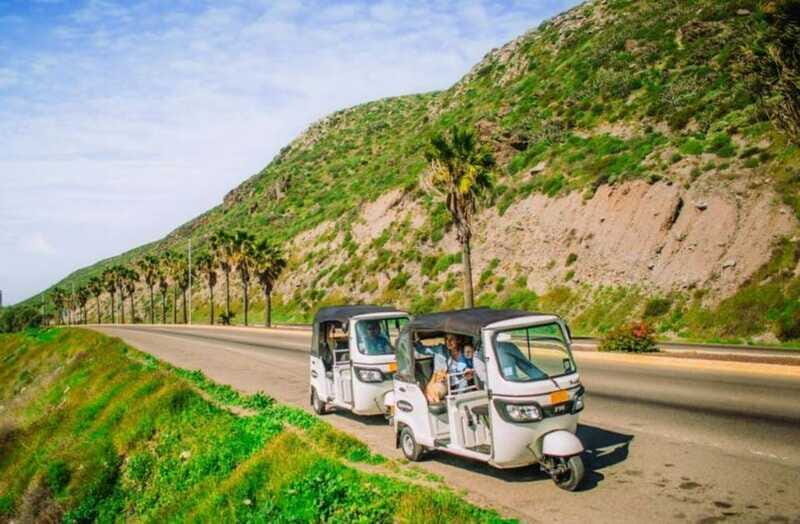 Ensenada: Street Gourmet Tour with Tacos and Drinks - The Practical Side: What to Expect