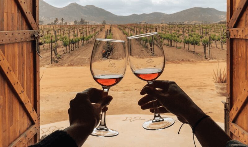 Ensenada: Valle de Guadalupe Wine Tasting Tour - Key Points