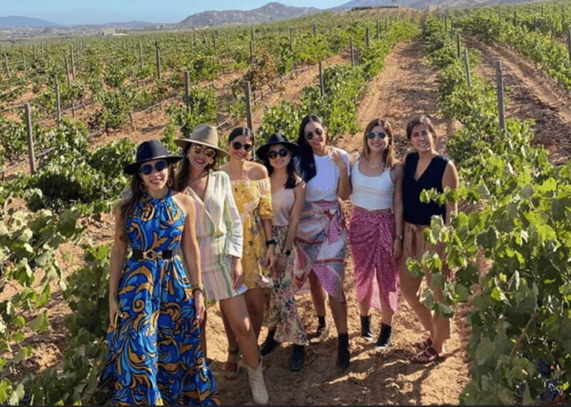 Ensenada: Valle de Guadalupe Wine Tasting Tour - Authentic Experiences and Traveler Feedback