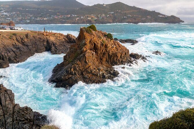 Ensenada Zipline and Blowhole Tour - A Complete Guide to Ensenada Zipline and Blowhole Tour