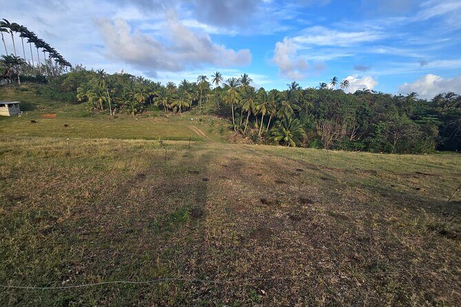 Enslaved Spaces of Barbados - A Deep Dive into Barbados’s Enslaved Spaces