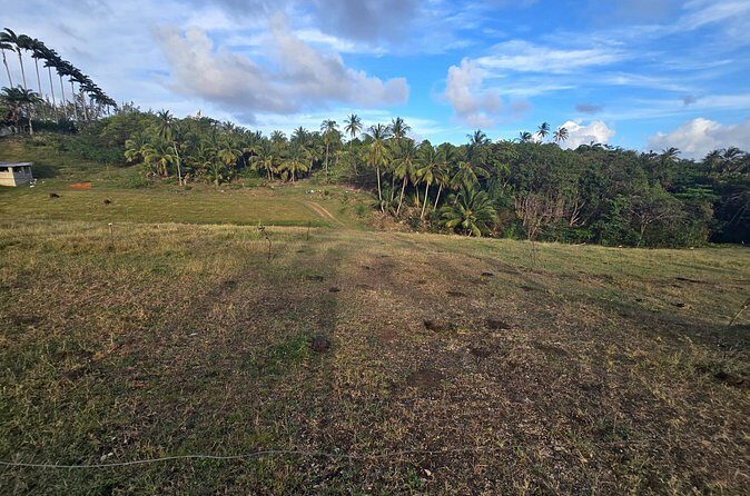 Enslaved Spaces of Barbados - Frequently Asked Questions