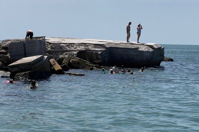 Enticement Charters Snorkel, Shelling in St. Petersburg, FL 3 Hrs - Who is this tour best suited for?