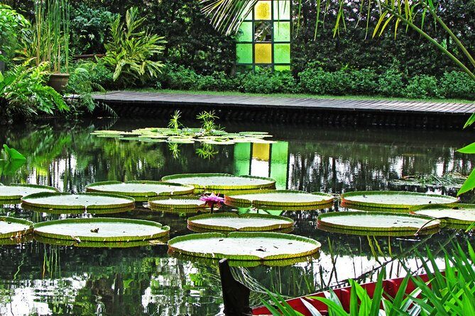 Entopia Butterfly Farm & Tropical Spice Garden Tour - Beyond the Tour: What Travelers Say