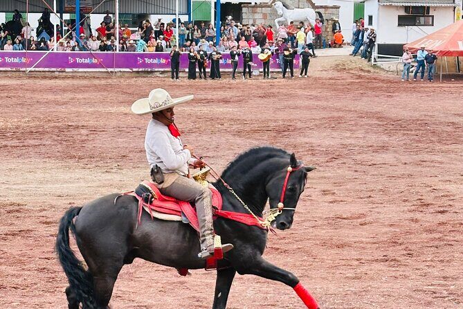 Entrance and transfer to the Texcoco International Horse Fair26 - The Value and Who It’s Best For
