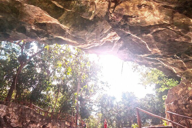 Entrance tickets to swim in 4 Cenotes in Casa Tortuga Park - Detailed Breakdown: What You Can Expect