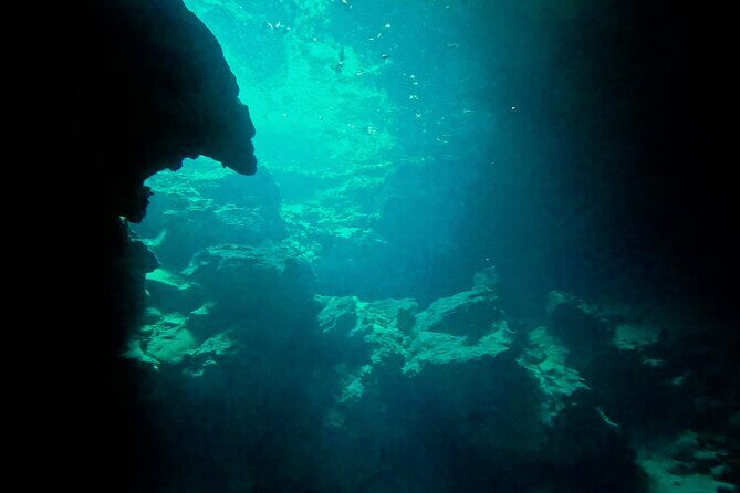 Entrance tickets to swim in 4 Cenotes in Casa Tortuga Park - Who Will Love This Tour?