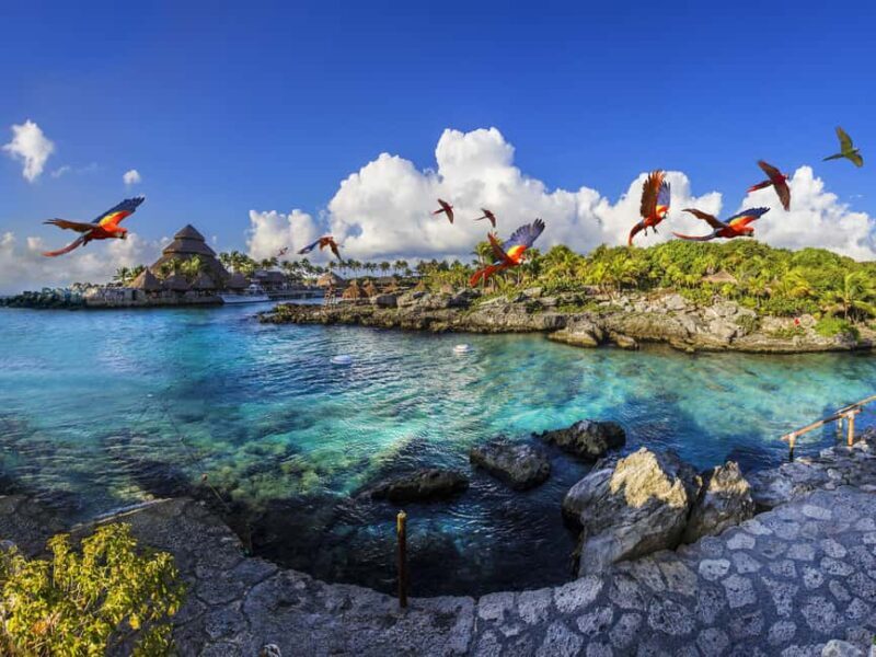 Entrance to Xcaret Park with access to the night show included. - An Overview of Your Day at Xcaret
