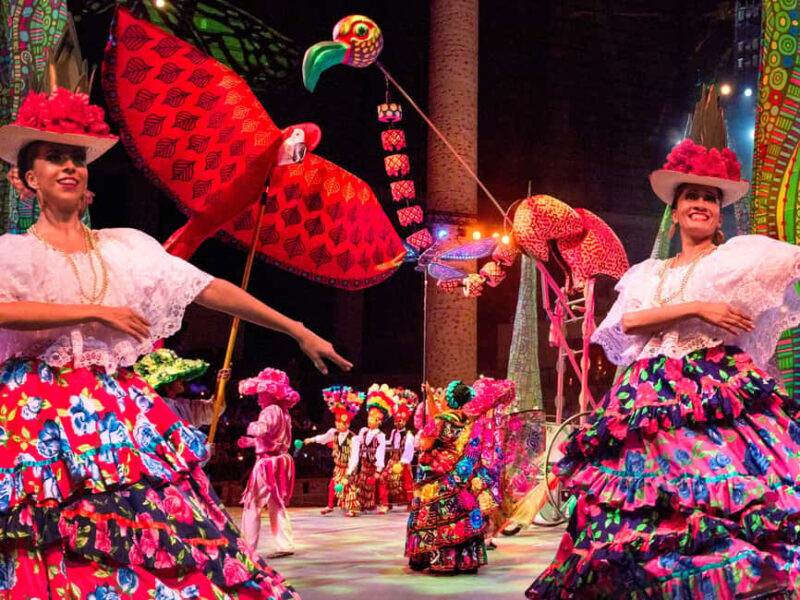 Entrance to Xcaret Park with access to the night show included. - Who Is This Tour Best For?