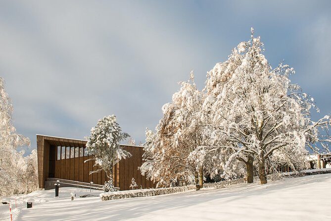 Entry Ticket to Amazing Serlachius in Tampere Region - Who Will Love This Tour?