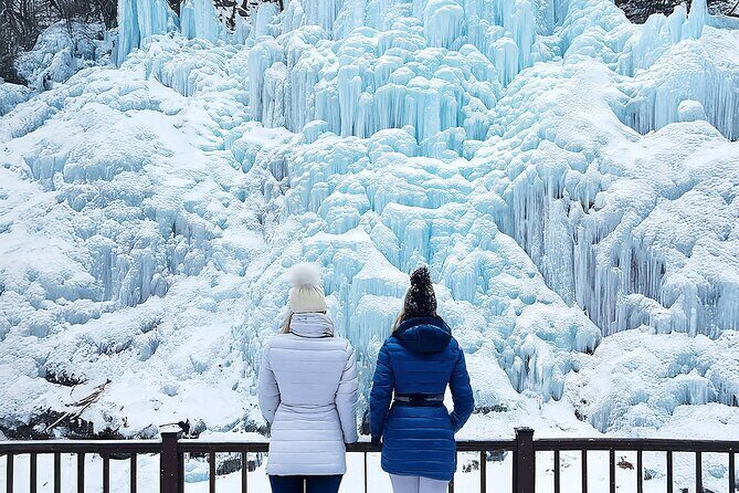 Eobi Ice Valley & Nami Island & Alpaca World & Morning Calm - A Practical Breakdown of the Itinerary