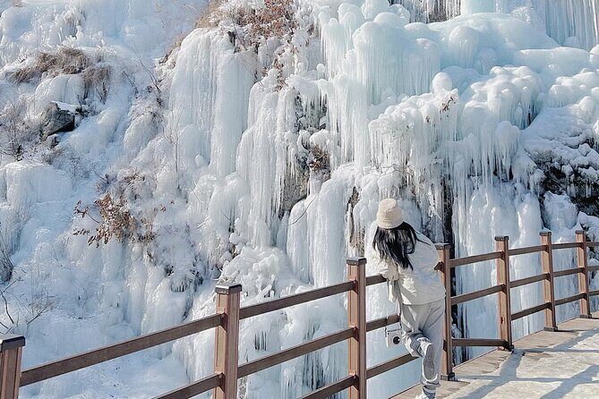 Eobi Ice Valley & Nami Island & Alpaca World & Morning Calm - Who Should Consider This Tour?