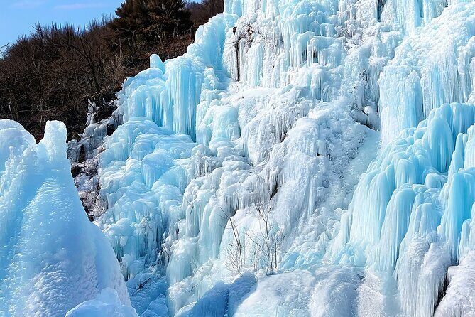 Eobi Ice Valley & Nami Island & Alpaca World & Morning Calm - FAQ