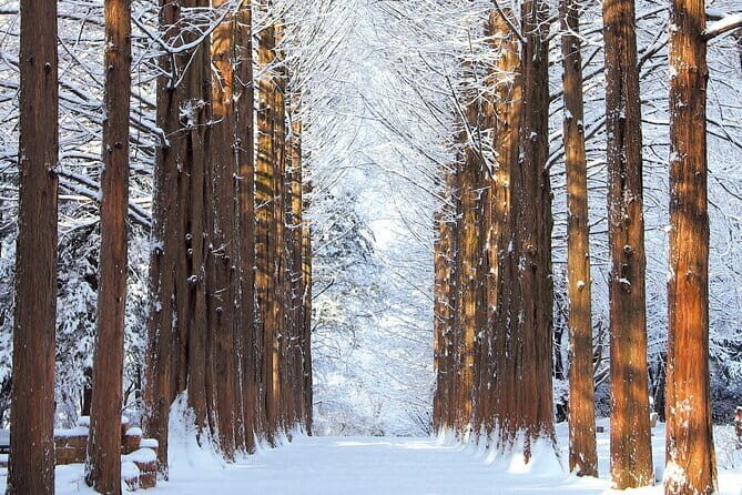 Eobi Ice Valley Nami Island and Alpaca World Tour from Seoul - A Practical Breakdown of the Tour Experience