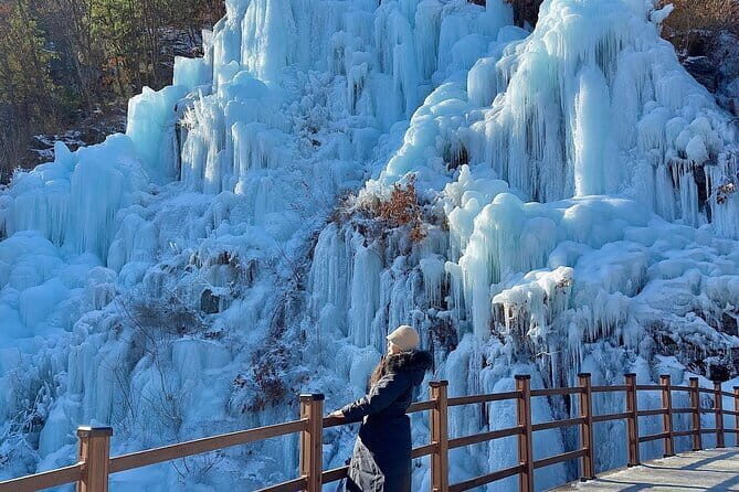 Eobi Ice Valley Nami Island and Alpaca World Tour from Seoul - Who Would Enjoy This Tour?