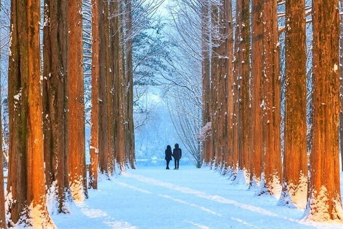 Eobi Ice Valley Nami Island and Gangchon Rail Park Seoul - Key Points