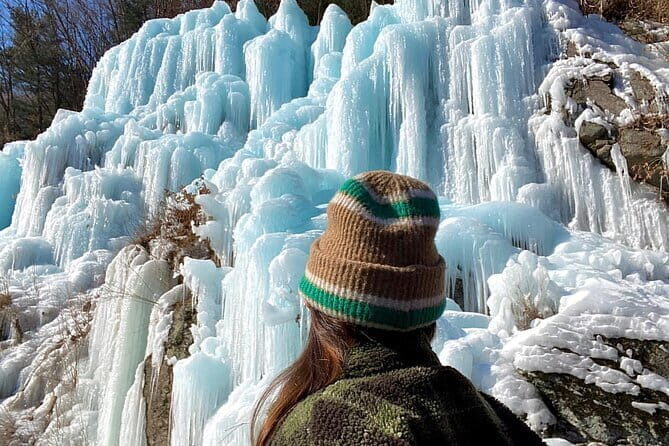 Eobi Ice Valley Nami Island and Gangchon Rail Park Seoul - What You Can Expect from This Tour: A Detailed Breakdown