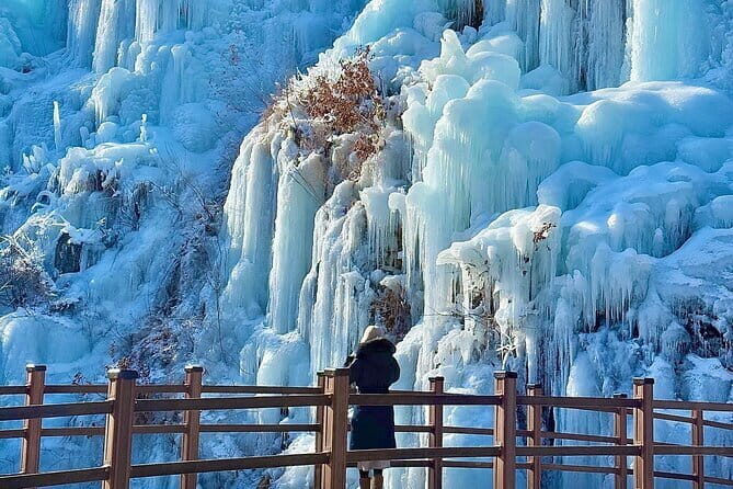 Eobi Ice Valley, Nami Island and Petite France tour in Seoul - Key Points