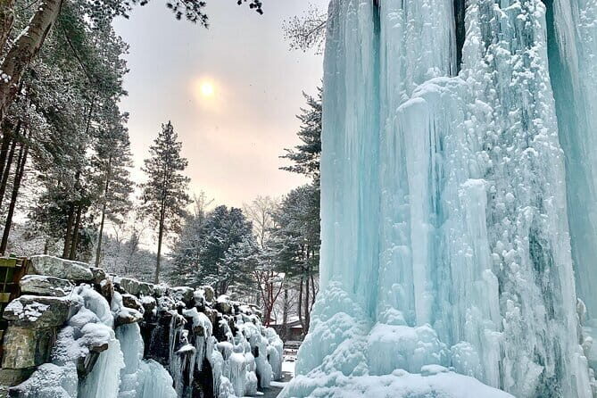 Eobi Ice Valley, Nami Island and Petite France tour in Seoul - Who Will Enjoy This Tour Most?