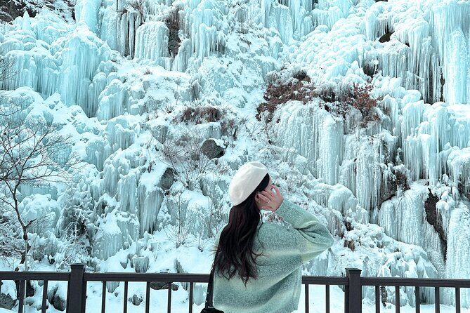 Eobi Ice Valley, Nami Island & Railbike from Seoul (opt. Garden) - Key Points