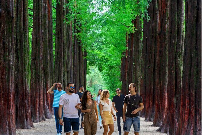 Eobi Ice Valley& Nami Island with Garden of Morning Calm Trip - A Detailed Look at the Tour Experience