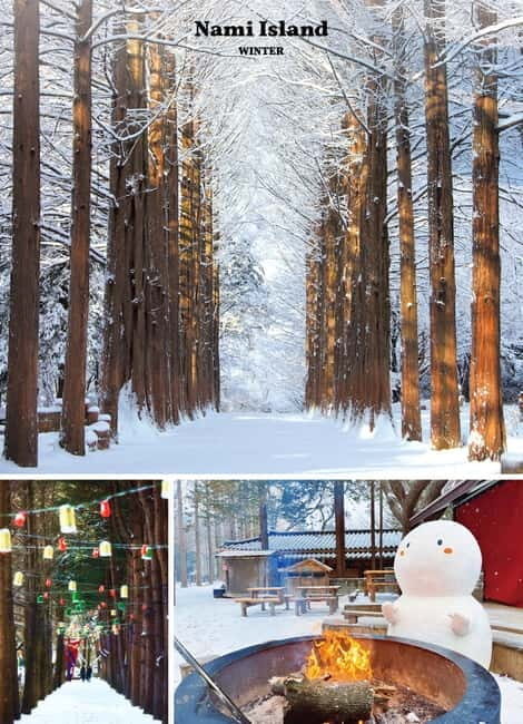 Eobi Ice Valley & Nami (+ Light Festival, Railbike, Alpaca) - Final Thoughts