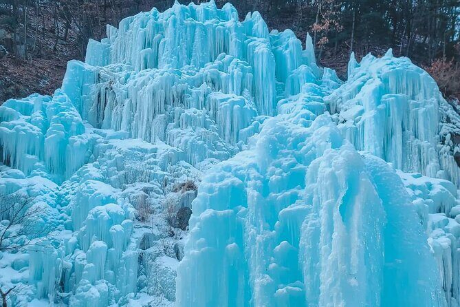 Eobi Ice Wall & Nami Island & Morning Calm Light Festival - Who Is This Tour For?