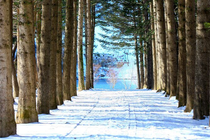Eobi Ice Wall & Nami Island & Morning Calm Light Festival - The Sum Up: Is It Worth It?