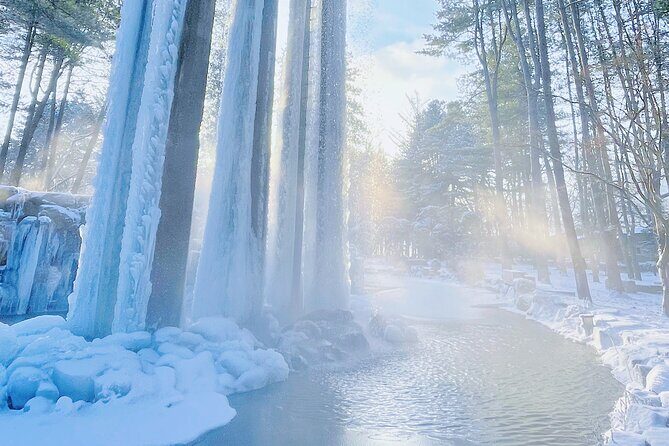 Eobi Ice Wall & Nami Island & Morning Calm Light Festival - FAQ