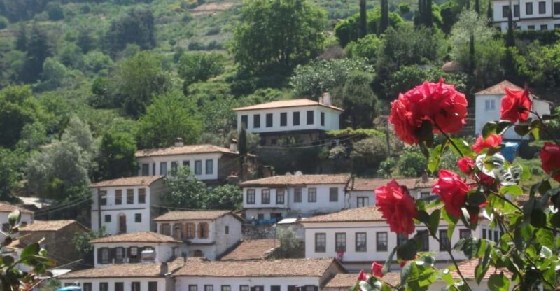 Ephesus and Sirince Tour from Izmir / Kusadasi - Exploring the Ephesus and Sirince Tour from Izmir / Kusadasi