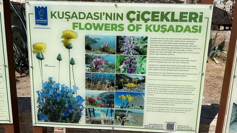 Ephesus tours wholesalerShopTours from cruise port Kusadasi - Price and Value