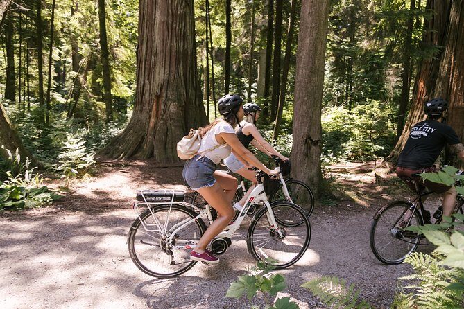Epic Electric Bike Tour by Cycle City Tours - The Sum Up: Is This Bike Tour for You?