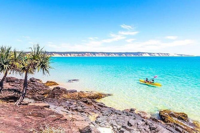 Epic Kayak With Dolphins & Wildlife - 4WD Beach Adventure Noosa - Practical Details & Value