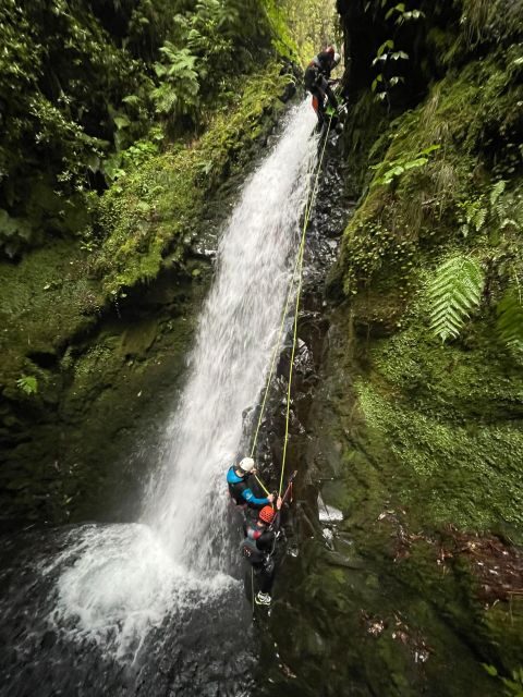 EPIC Madeira Canyoning Level Two - The Experience Through the Eyes of Travelers