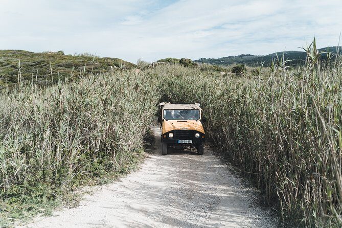 Epic Off-Road Adrenaline in Sintra - An Adventure Beyond the Palaces