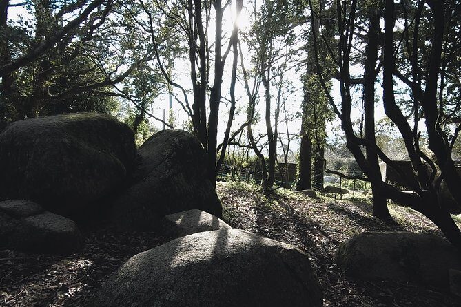 Epic Off-Road Adrenaline in Sintra - Final Thoughts