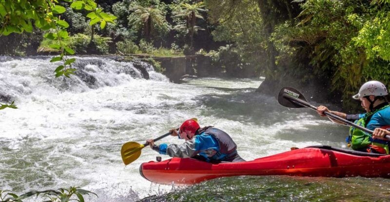 Epic Tandem Kayak Tour down the Kaituna River Waterfalls - The Value: Is It Worth the Price?