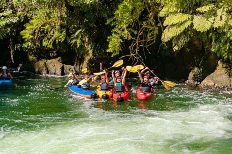 Epic Tandem Kayak Tour down the Kaituna River Waterfalls - In Depth: What This Tour Offers
