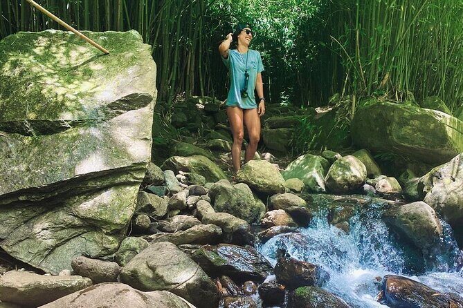 Epic Waterfall Adventure, the Best of Maui - Final Thoughts