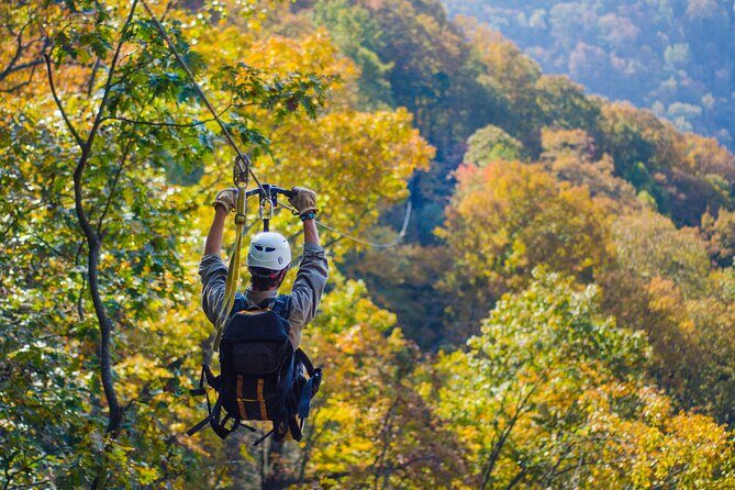 Epic Zipline Canopy Tour - The Gorge Zipline: Saluda, NC - What to Expect on Your Tour