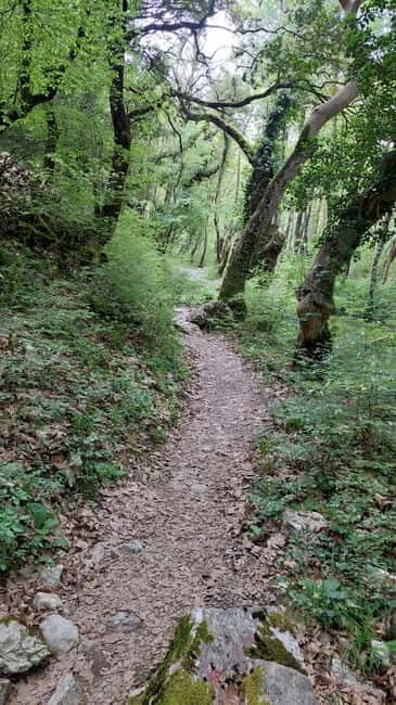 Epirus: Zagori Rafting Tour with viewpoints,lunch and photos - Final Thoughts: Is It Worth It?