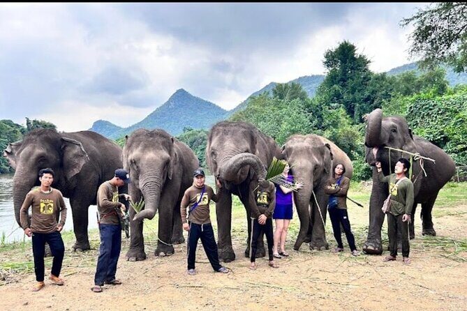 Erawan Waterfall and Elephant care from Bangkok -Private Tour - Conclusions: Who Will Appreciate This Tour?