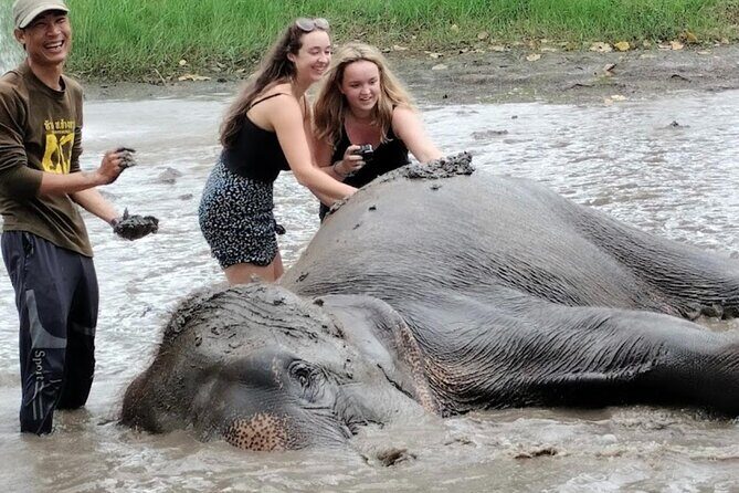 Erawan Waterfall and Elephant care from Bangkok -Private Tour - FAQ