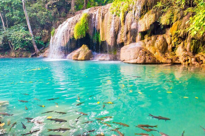 Erawan Waterfall and Elephant Care: Private Tour to Kanchanabur - Elephant Sanctuary: A Heartwarming Experience