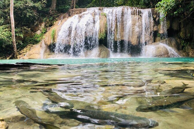 Erawan Waterfall and River Kwai Bridge Day Tour from Bangkok - An In-Depth Look at the Tour Experience